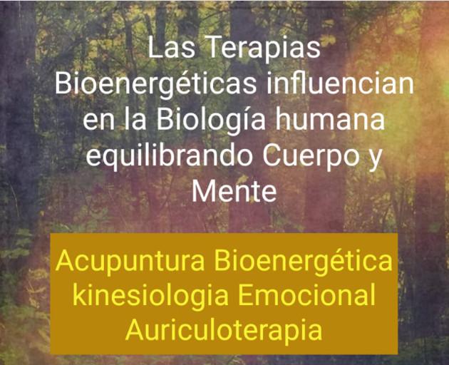 Centerbios - Centro Holístico • Terapias del Bienestar • Lo Más Sano